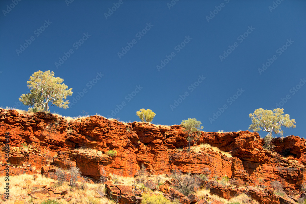 Experience the awe-inspiring scenery of Karijini National Park while ...