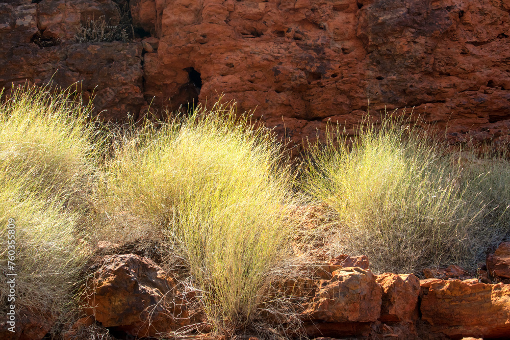 Experience the awe-inspiring scenery of Karijini National Park while ...