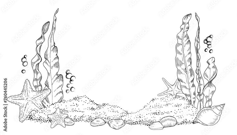 Sea Vector frame Border. Line art coral reef with seaweed. Hand drawn ...