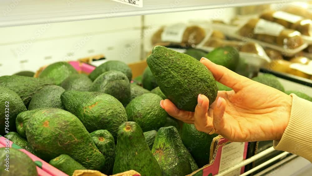 Womans hand carefully selects ripe avocados from shelf in grocery store ...