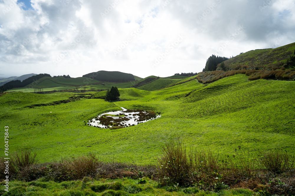Green nature. Forests, meadows, and the ocean such a view is from The ...