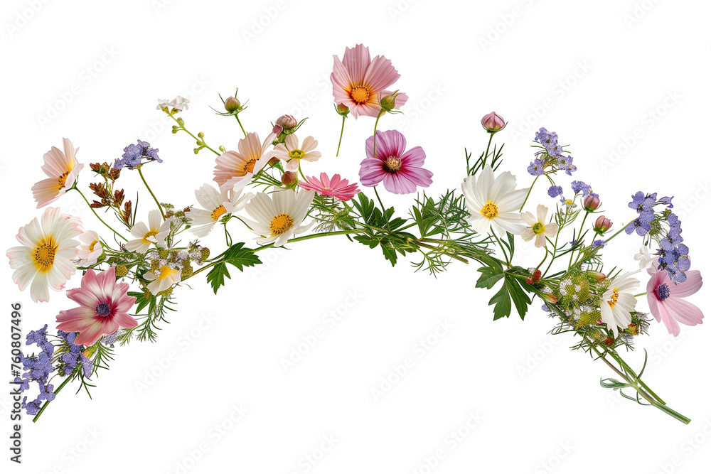 Beautiful wild flowers frame isolated on transparent background. PNG ...