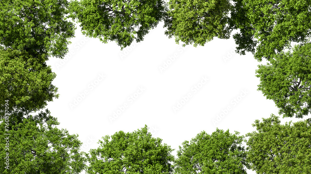 Topview lush forested trees landscape frame border cut out transparent ...