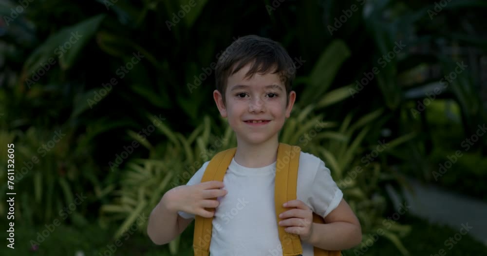 Portrait handsome happy school boy, smiling school boy, little boy with ...