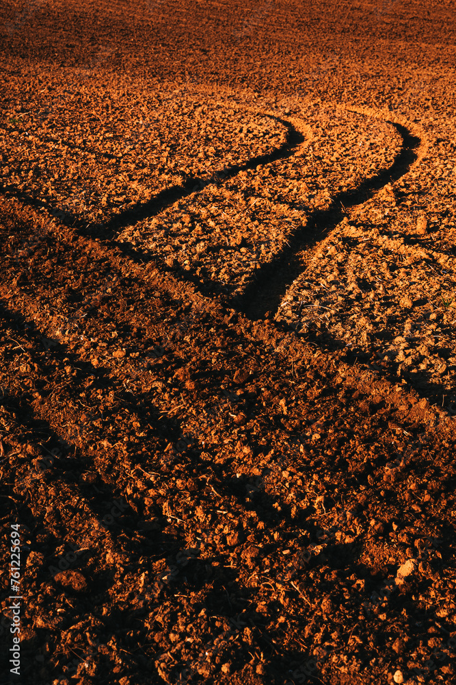 Agricultural tractor tire tread marks in ploughed soil ground, vertical ...