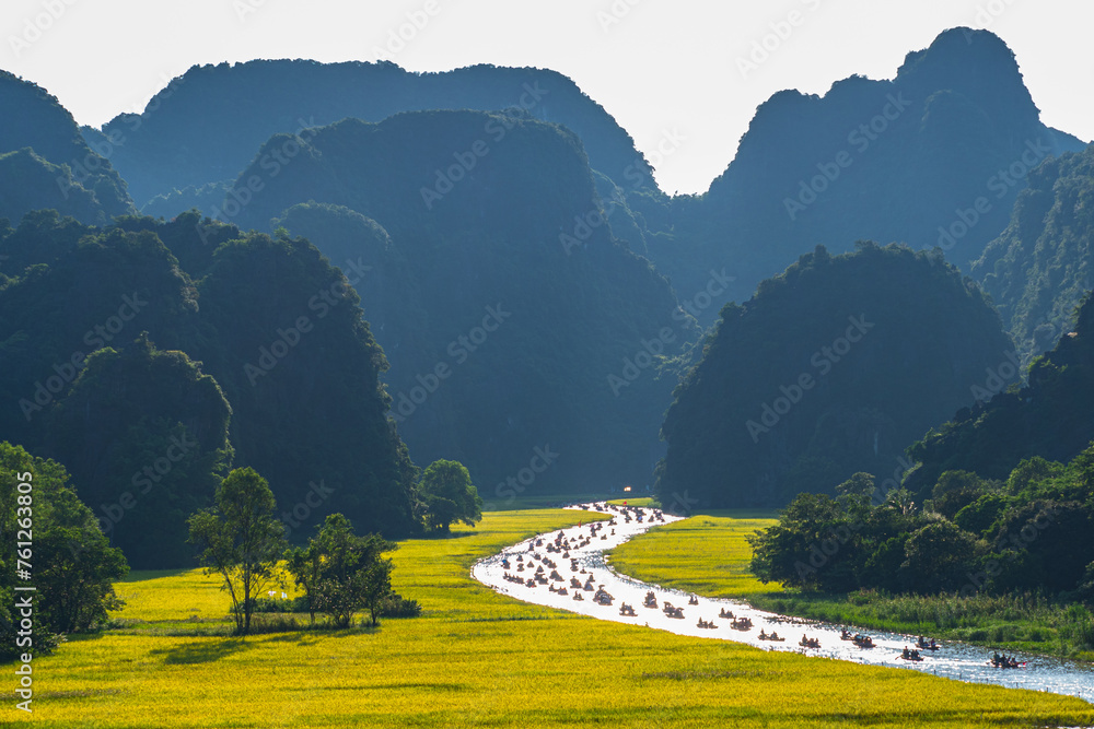 Ripe rice season in Tam Coc, Ninh Binh and the festival to celebrate ...