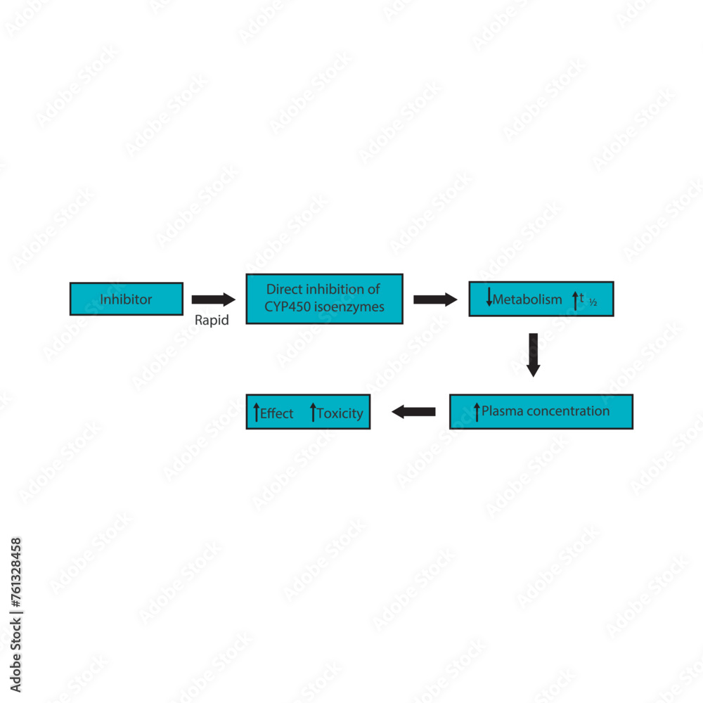 Diagram of drug metabolism inhibitor process - effect on CYP450 enzymes ...