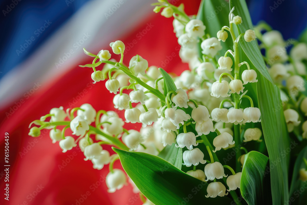Flowering lily of the valley on a street of Paris, with the French flag ...