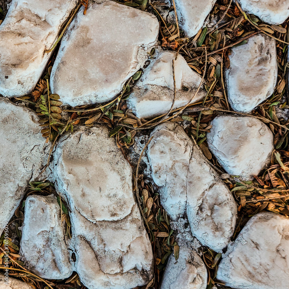 Textura de suelo de sendero con piedras y hojas secas para usar en ...