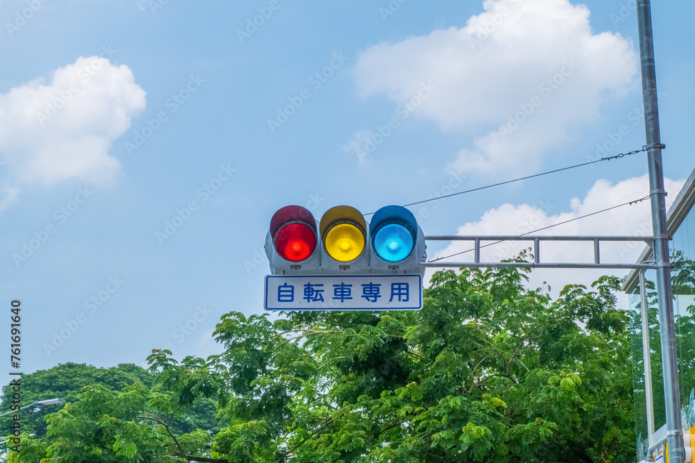 Japanese traffic lights and sign above scramble crossing in front of ...