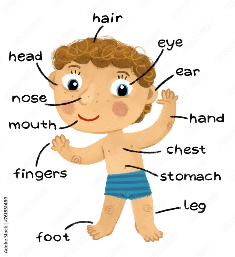 cartoon scene with young boy as anatomy model of body parts on white ...
