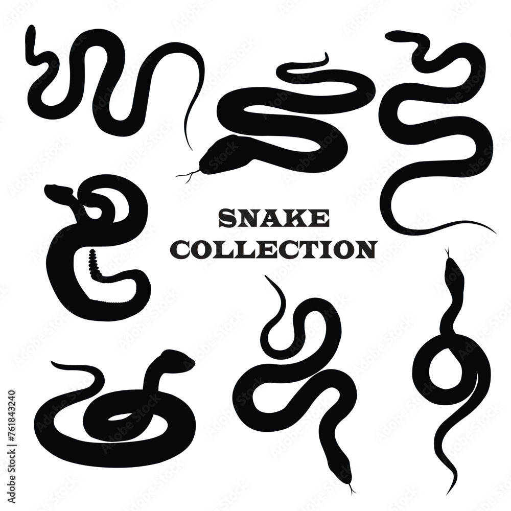 silhouette venomous snake or snake collection or desert snake and snake ...