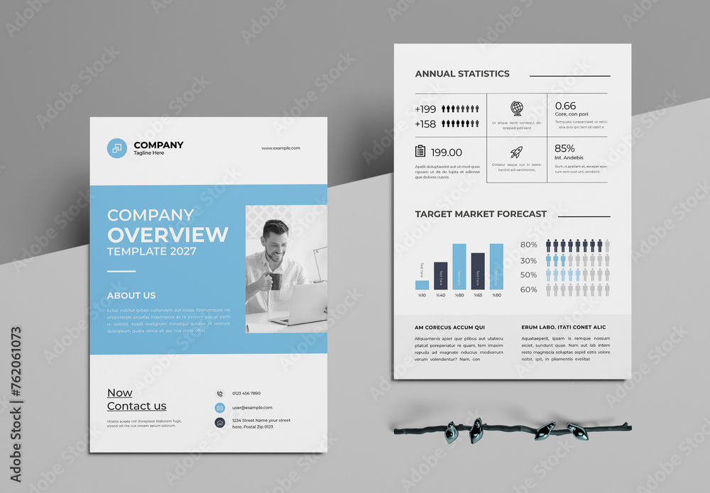 Company Overview Poster Template Layout Stock Template | Adobe Stock