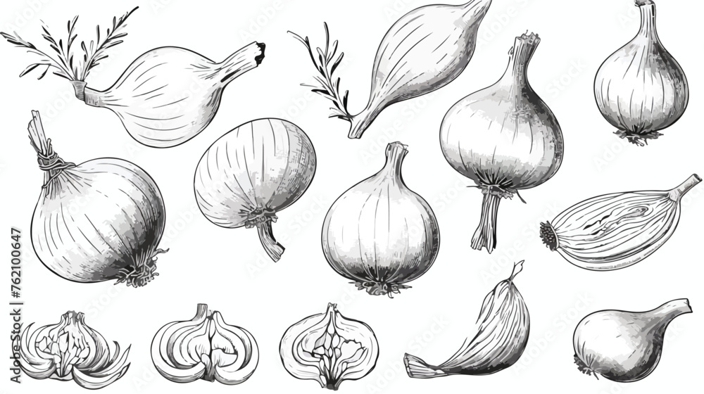 Linear Onions. Hand drawing whole and chopped onion Stock Vector ...