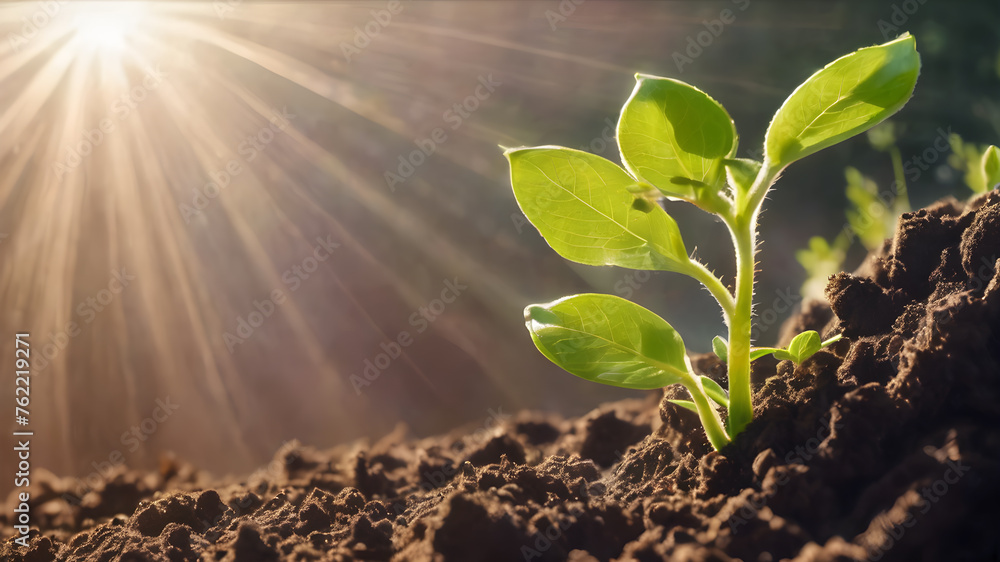 Globe and Planting trees to help increase oxygen in the air and reduce ...
