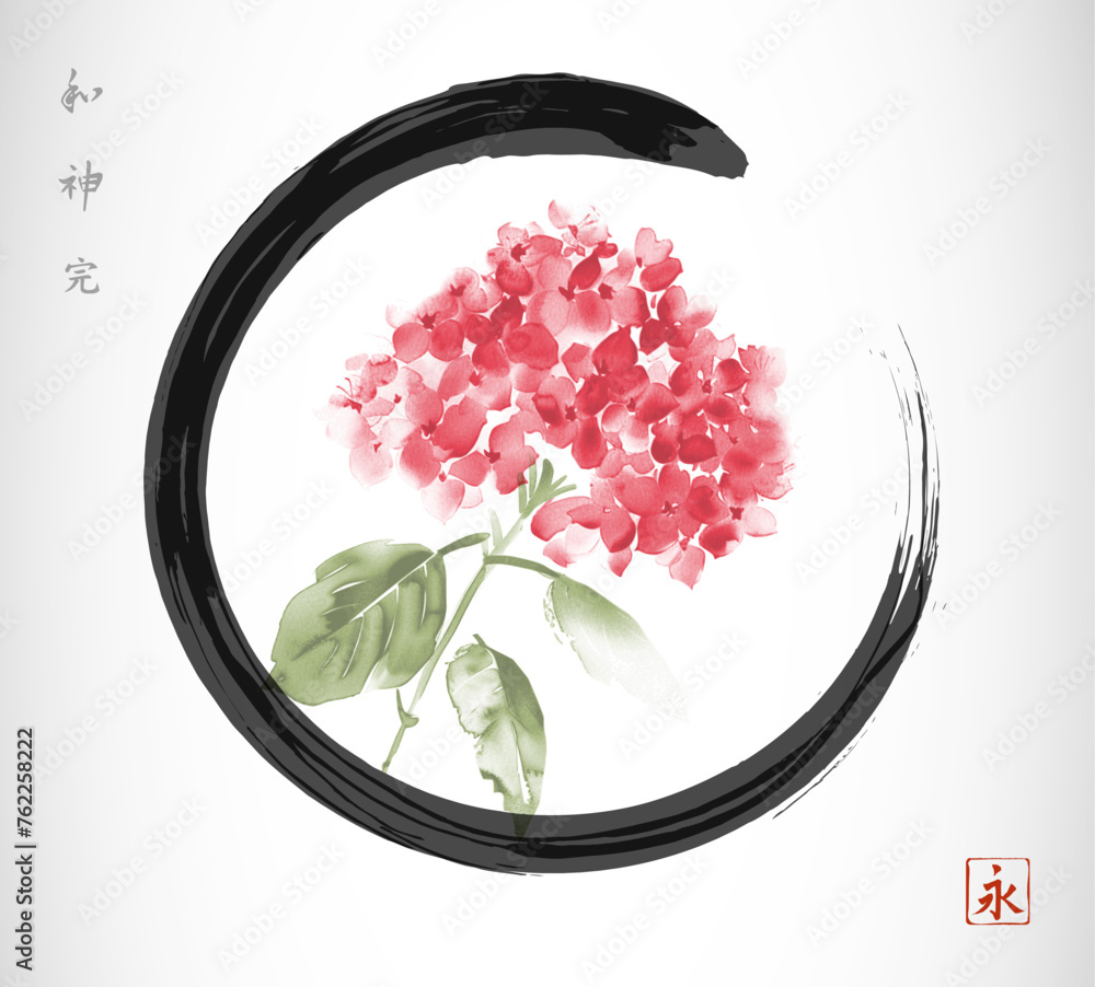 Ink painting of pink hydrangea flowers in black enso zen circle ...