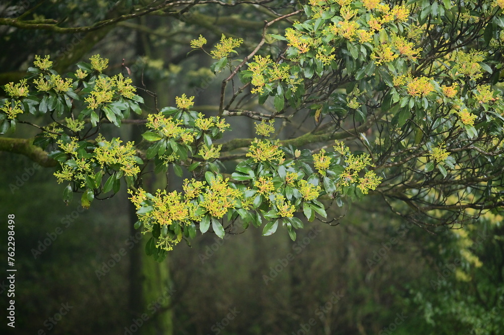 Yangmingshan Datun Nature Park in Taipei, Taiwan, is known for its ...