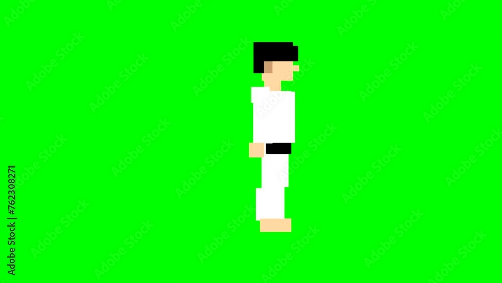 Game animation in 8-bit style of martial arts fighting on a green ...