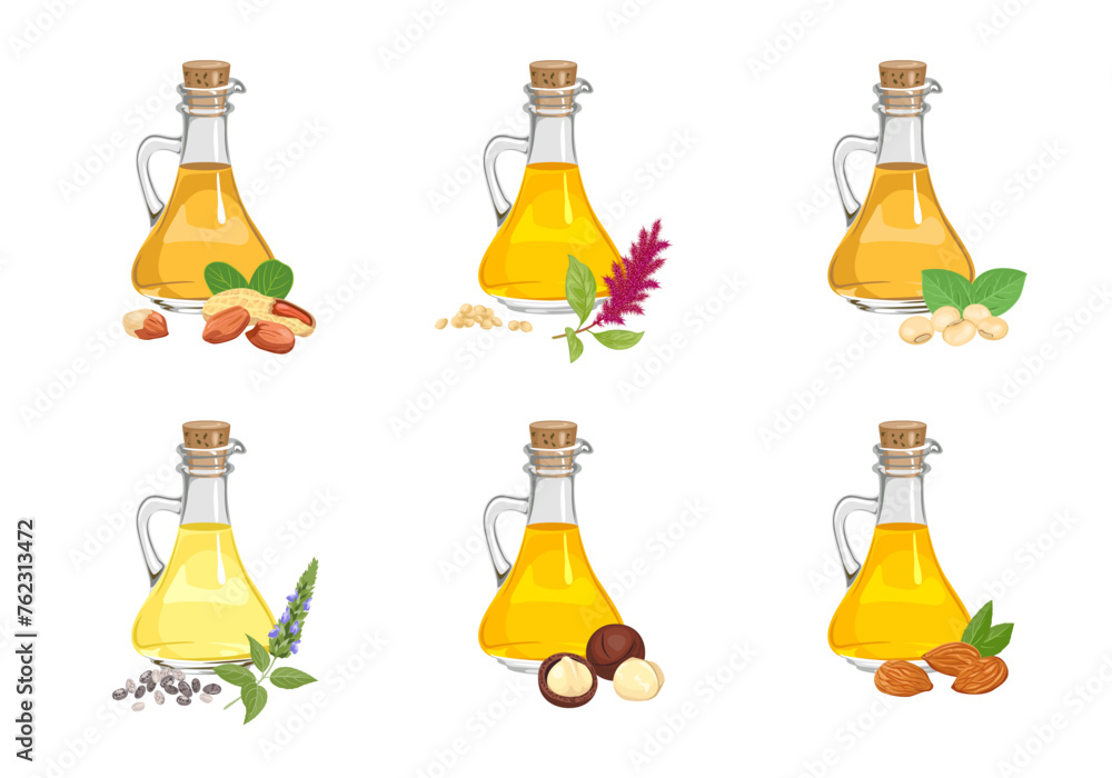 Set of different cooking oils in glass bottles, seeds, nuts and plants ...