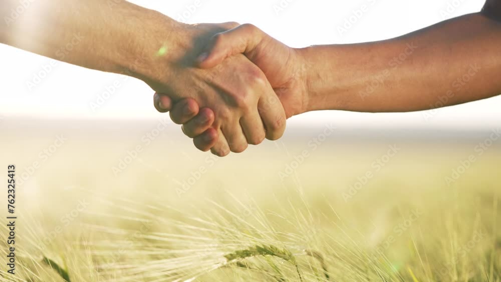 Agriculture.Handshake of farmer on farm in wheat field.Conclusion of ...