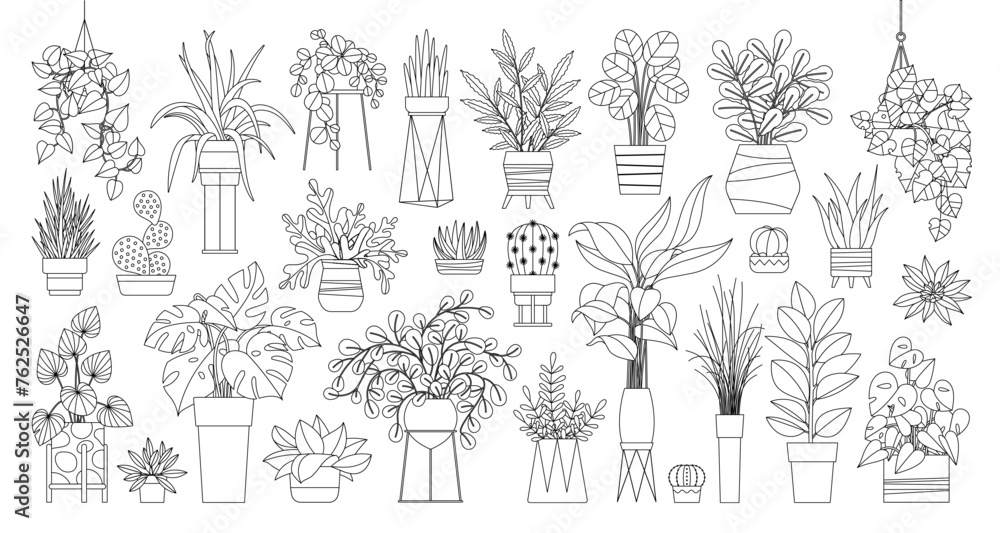 Houseplants. Plant outline drawing vector set, succulents in pots ...