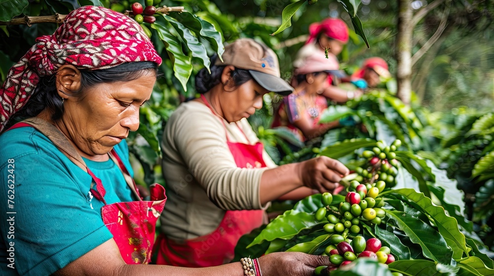 Foto de Step into the world of coffee cultivation—vibrant images of ...