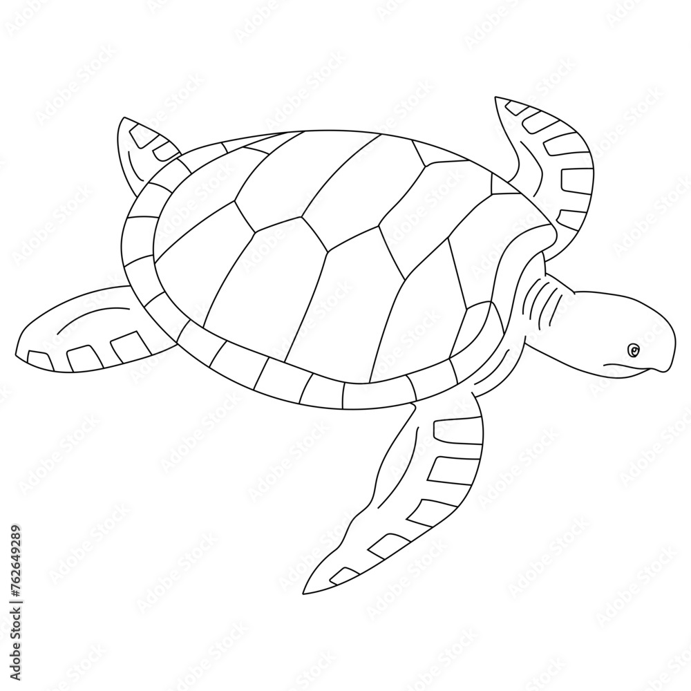 Outline Sea Turtle Clipart for Lovers of Aquatic Life and Marine Life ...