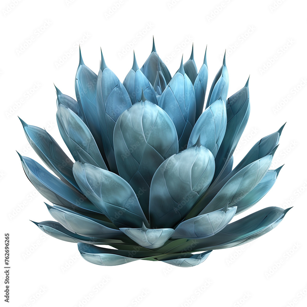 Blue agave aloe vera on transparent background, png Stock Photo | Adobe ...