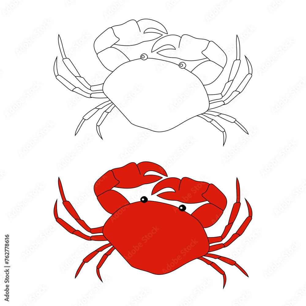 Crab Clipart Set for Lovers of Sea Animals and Ocean Creatures. Outline ...