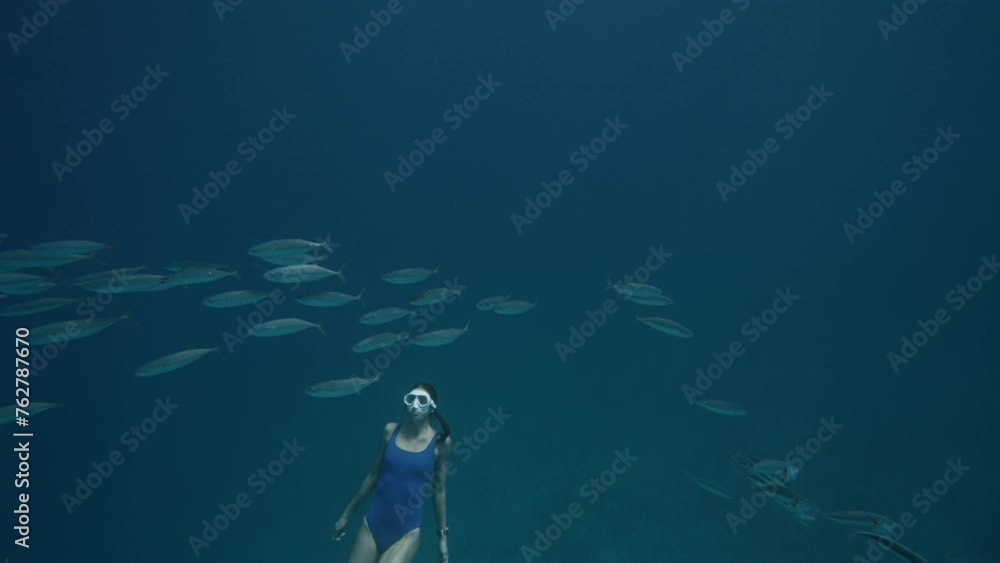 Experienced woman freediver swimming deep underwater with pod of fish ...