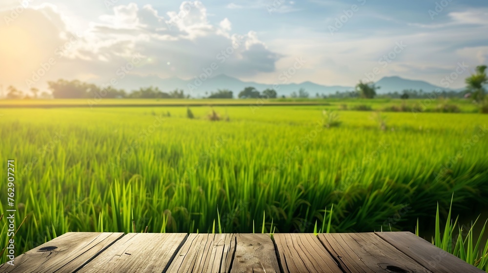 Wooden table top on blur rice field background in morning beautiful ...