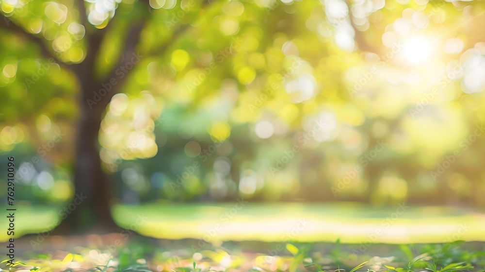 Blurred nature green tree in a park background natural trees and lawn ...