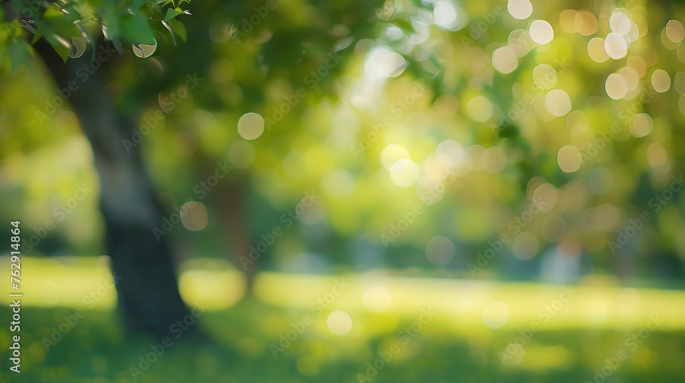 Blur green park garden outdoor background blurry tree nature with bokeh ...