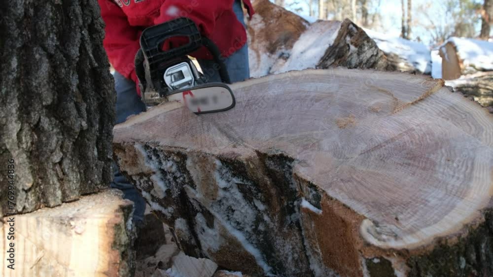 Close up and slow motion while making incision in oak stump or slab of ...