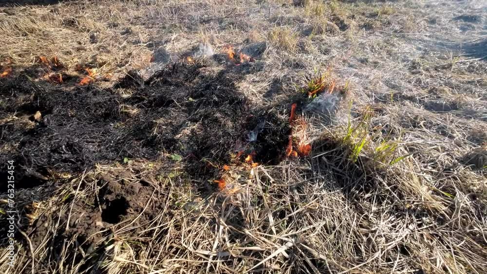 Fire grass in farm field. Dry Grass Fires in drought. Fire destroys ...