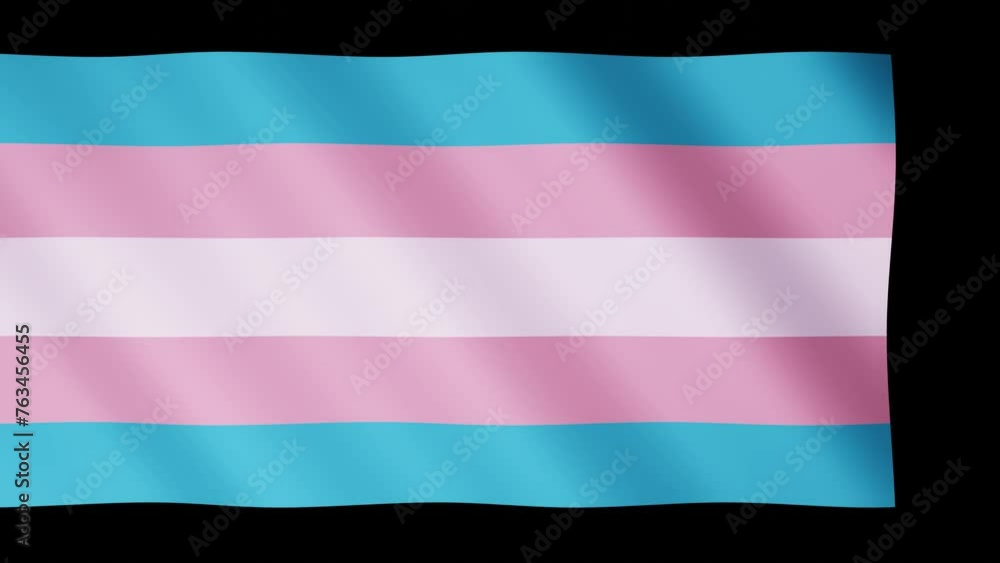 3d Transgender LGBT community Pride waving flag. Rainbow Trans sign ...