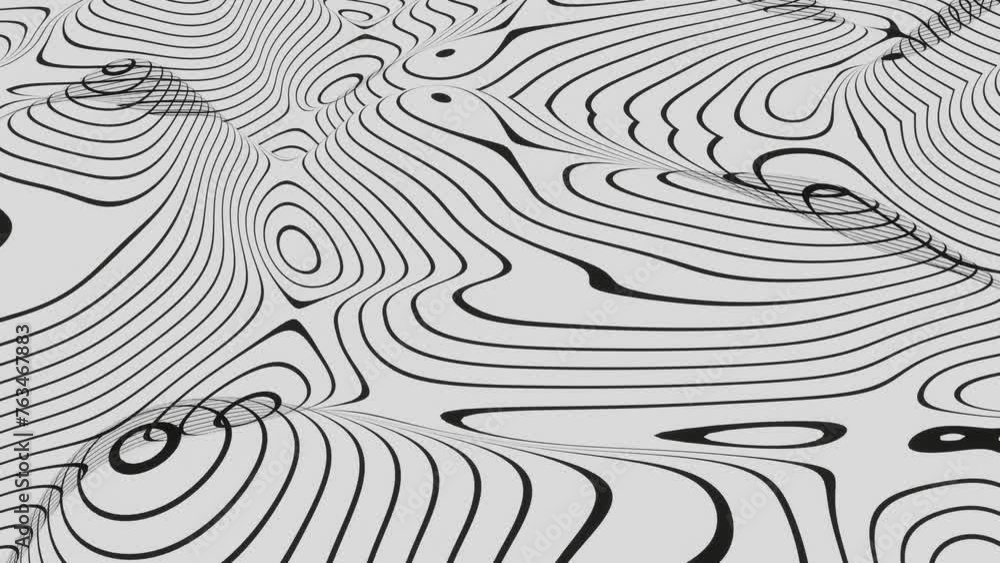 3d black and white abstract wallpaper. Outline Topographic geography ...