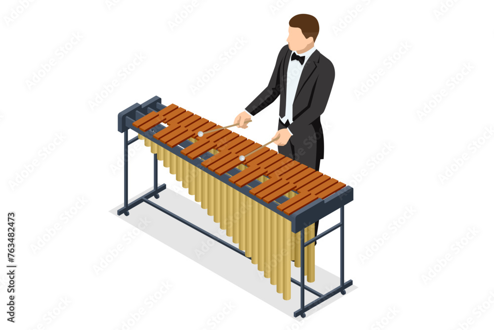 Isometric Xylophone. Musician playing on xylophone. The xylophone is a ...