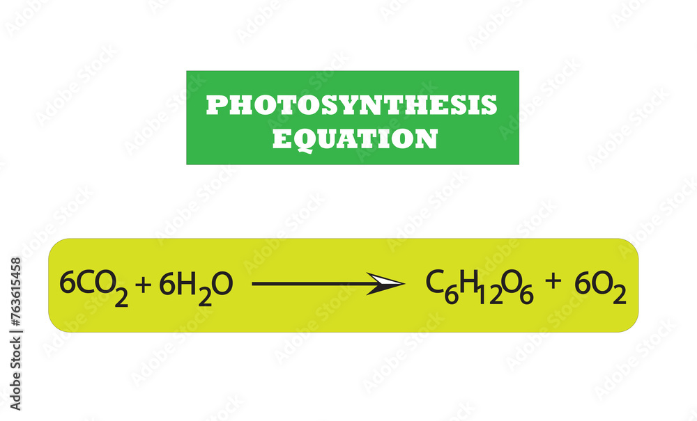 Photosynthesis Equation. Vector illustration. Biology and botany ...