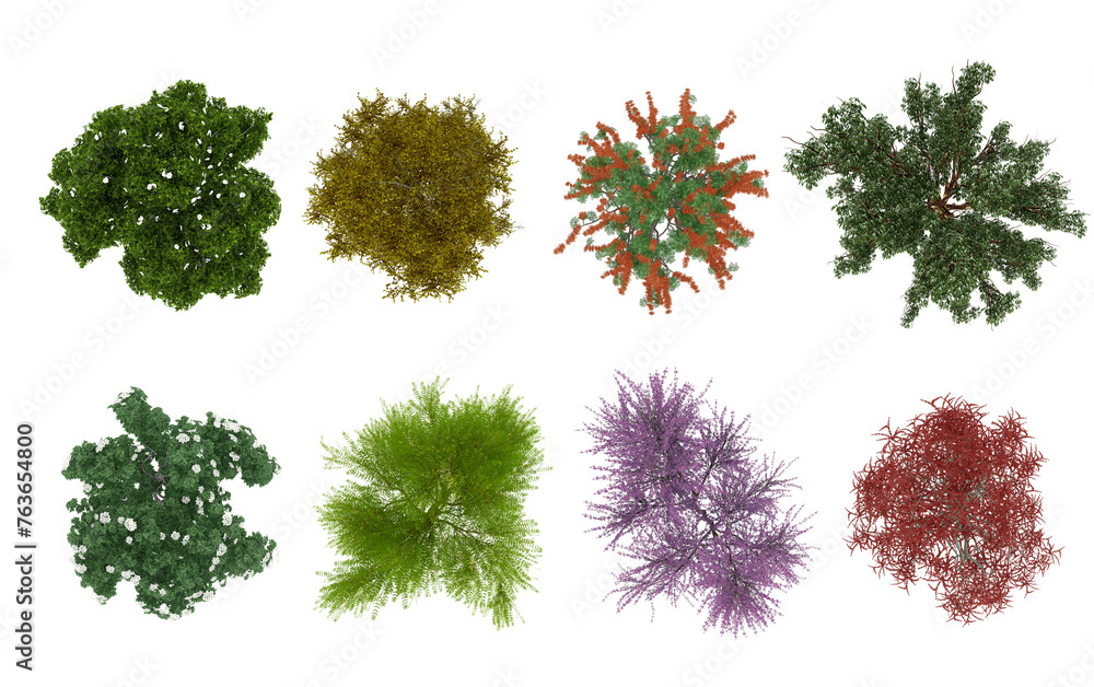 Various green trees, bushes and shrubs, top view for landscape design ...