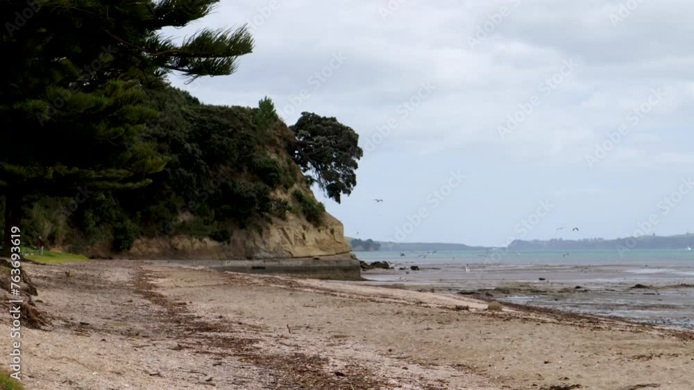 A group of seagulls flying over the beach on a cloudy and windy day in ...