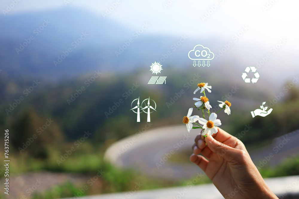 Hand holding a white flower with clean energy icons such as a wind ...