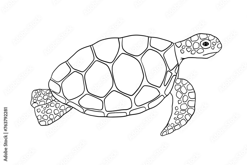Vector swimming outline turtle isolated on white background. Hand drawn ...