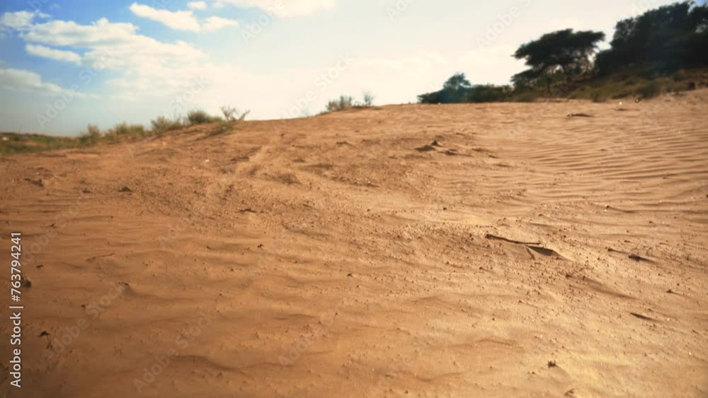The Thar Desert, also known as the Great Indian Desert, is a region of ...