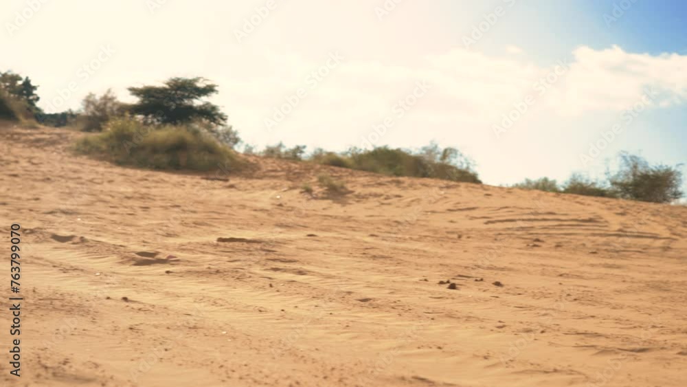 The desert of Rajasthan is also known as the great Indian desert. The ...