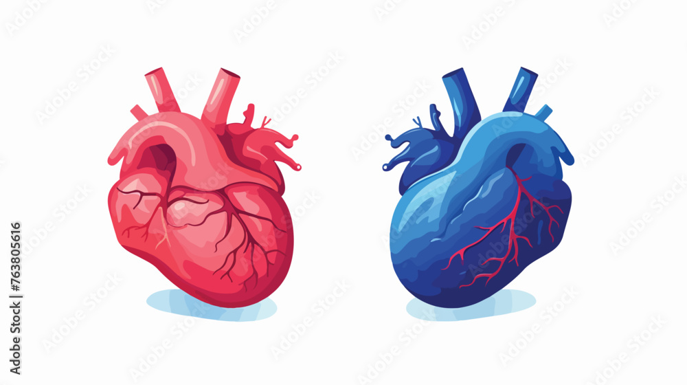 SA Nod and AV Nod of human heart flat vector Stock Vector | Adobe Stock