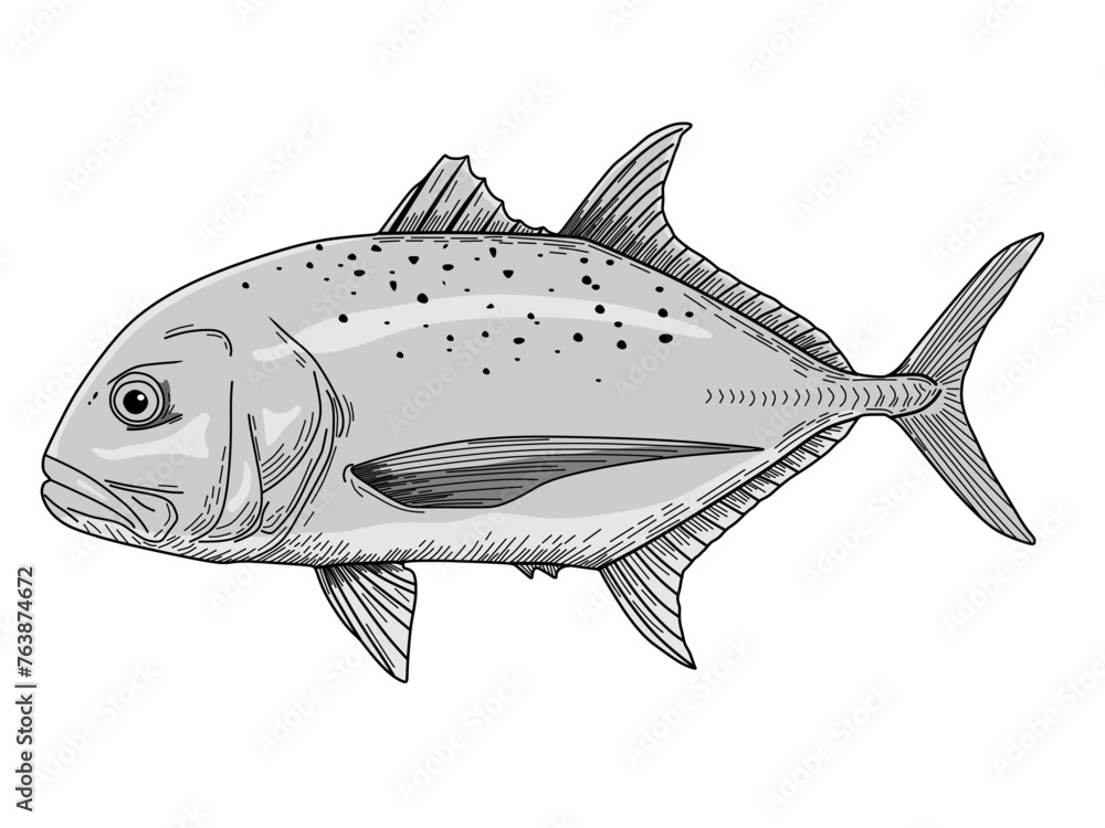 giant trevally vector illustration Stock Vector | Adobe Stock