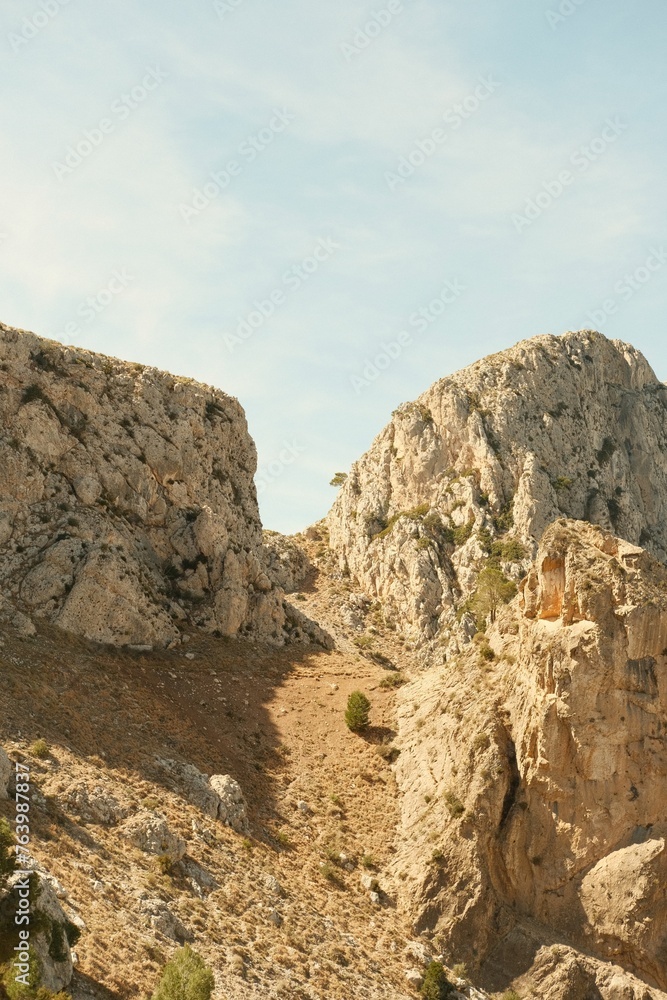 Film style photography of an earth tone landscape in abstract ...