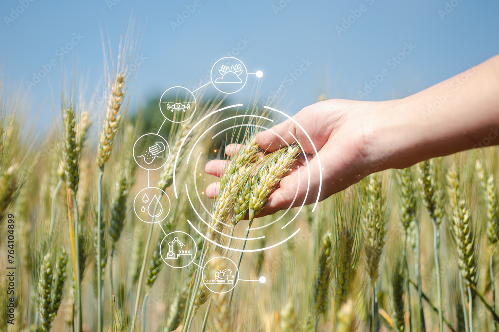 Smart agriculture technology and agricultural Barley Rice innovations ...
