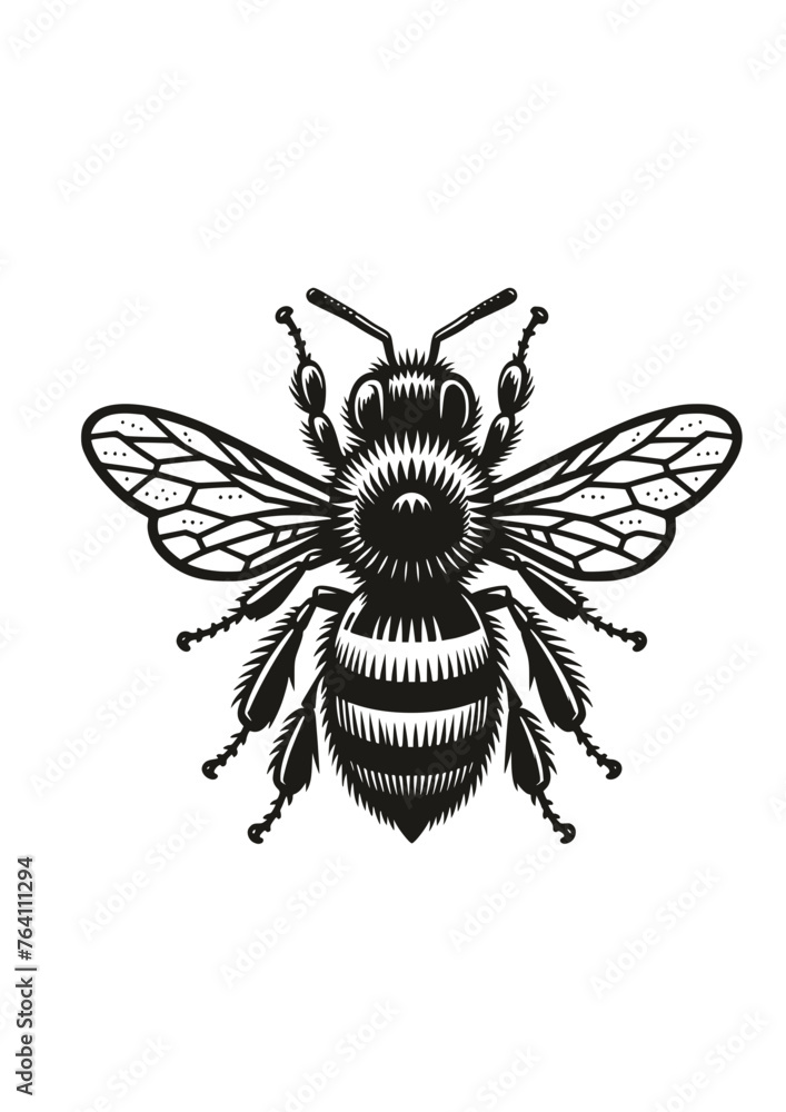 Bee SVG, Bee Clipart, Bee Cricut, Bee Cutfile for Cricut, Bee Art, Bee ...